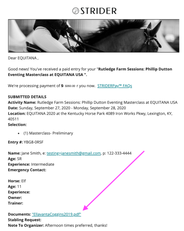 How Do I View Submitted Documents | STRIDER