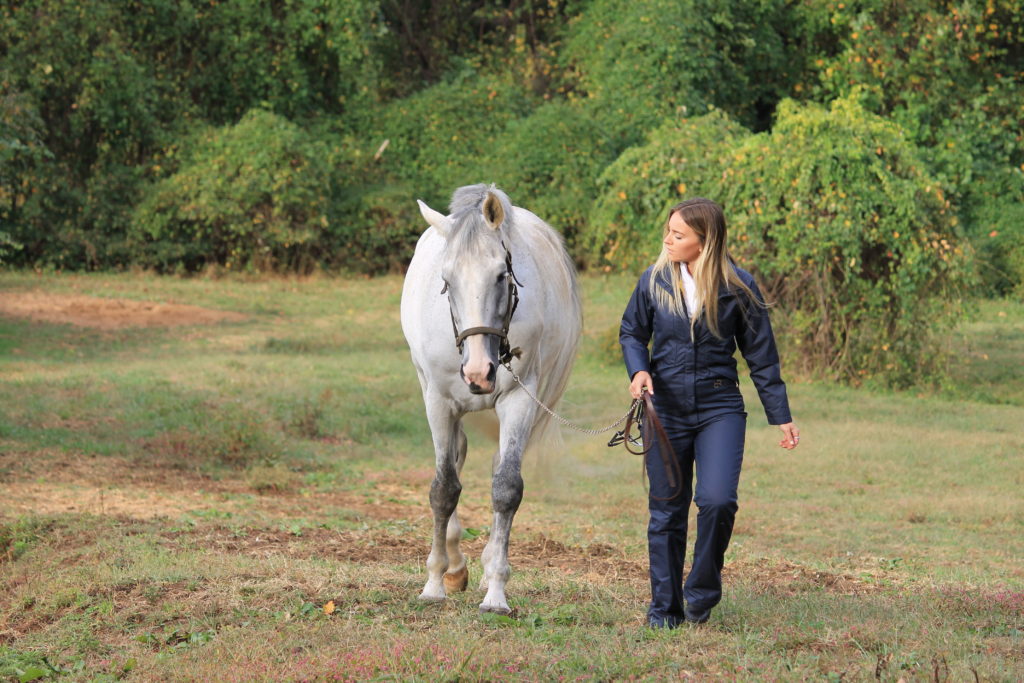 The 2019 STRIDER Fall Giveaway, Sponsored By Redingote Equestrian ...
