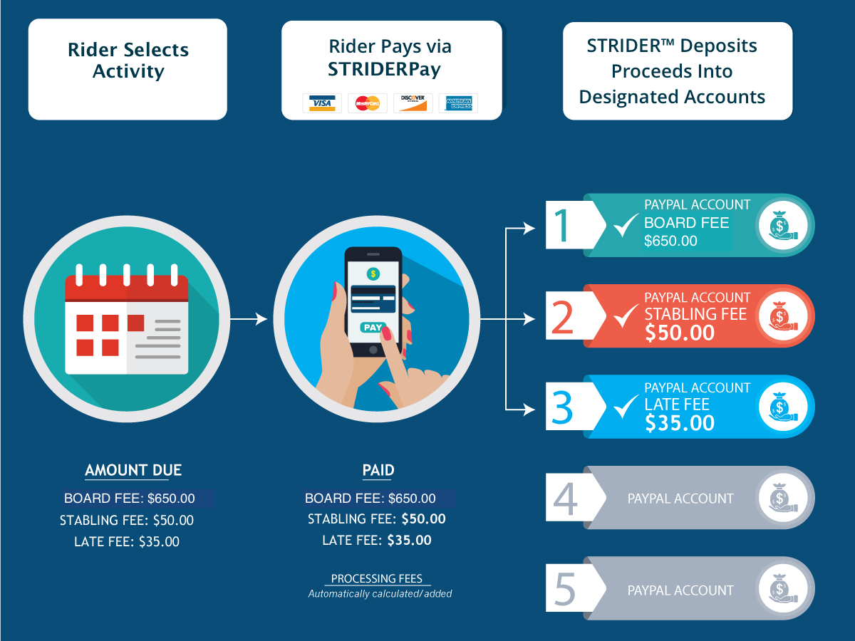 StriderPay_Infographic copy | STRIDER