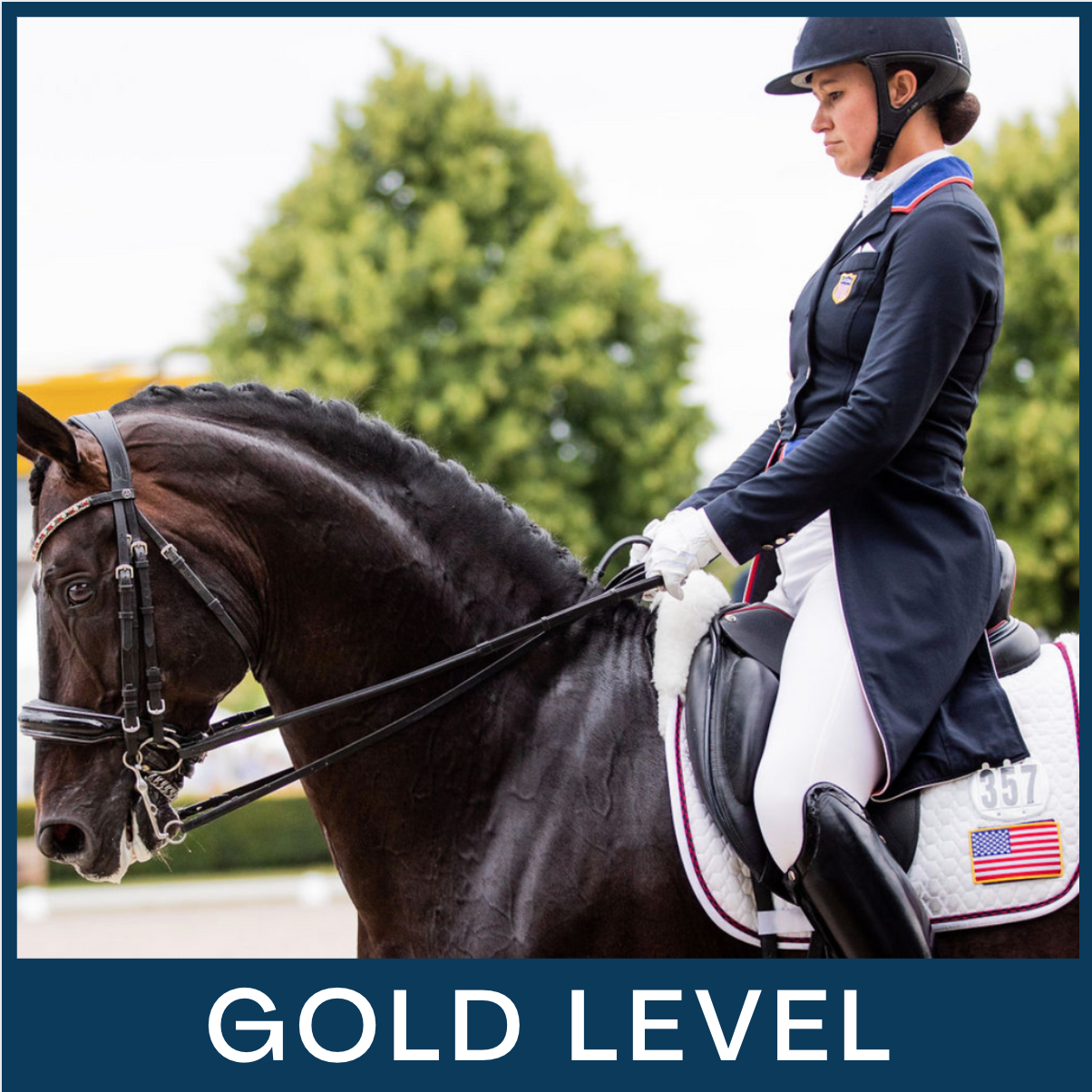 GoldLevel | STRIDER