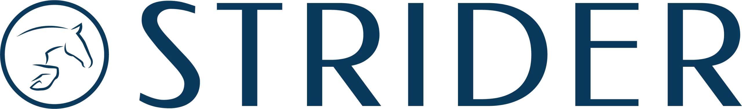 2024_Striderlogo_BLUE_editable | STRIDER