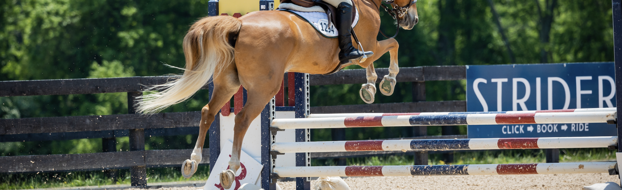 STRIDER and Morven Park International Equestrian Center Renew Partnership in 2024