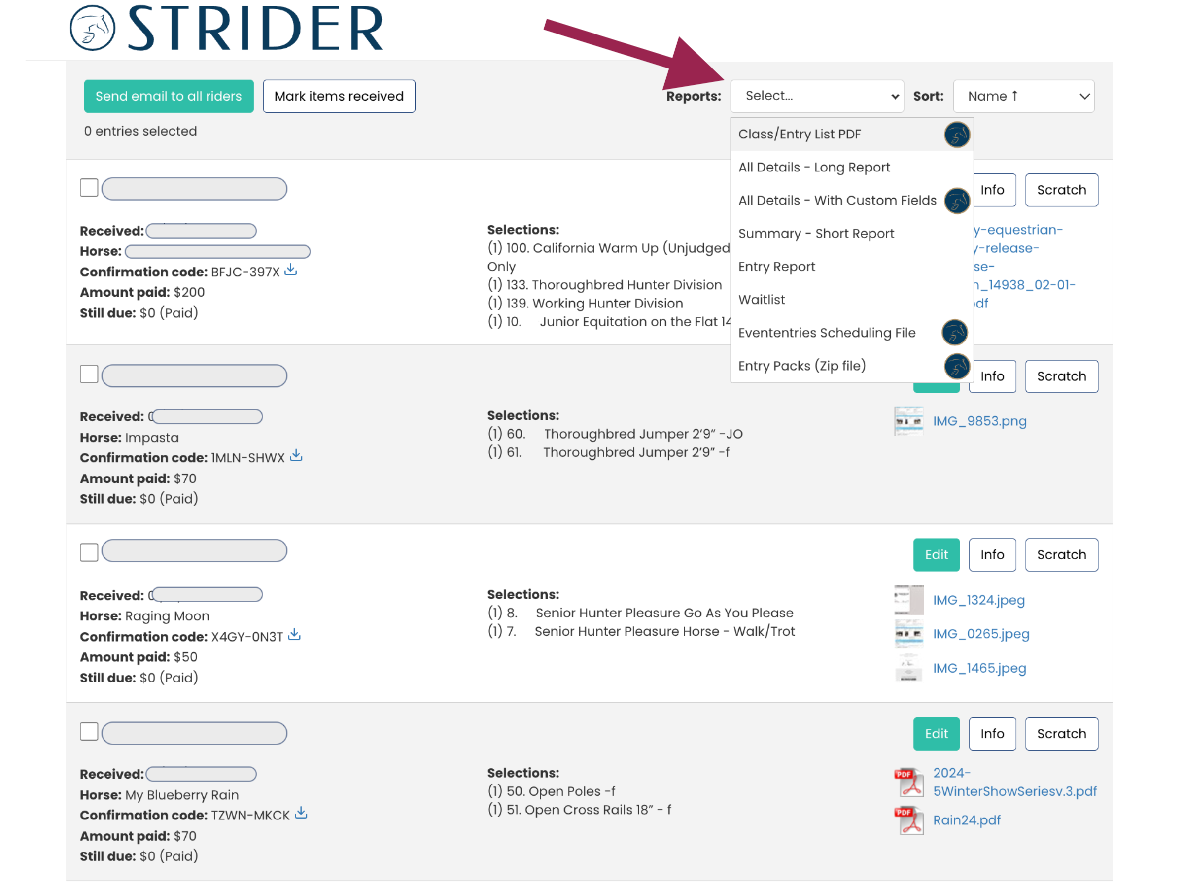 Entry Reports- STRIDER | STRIDER