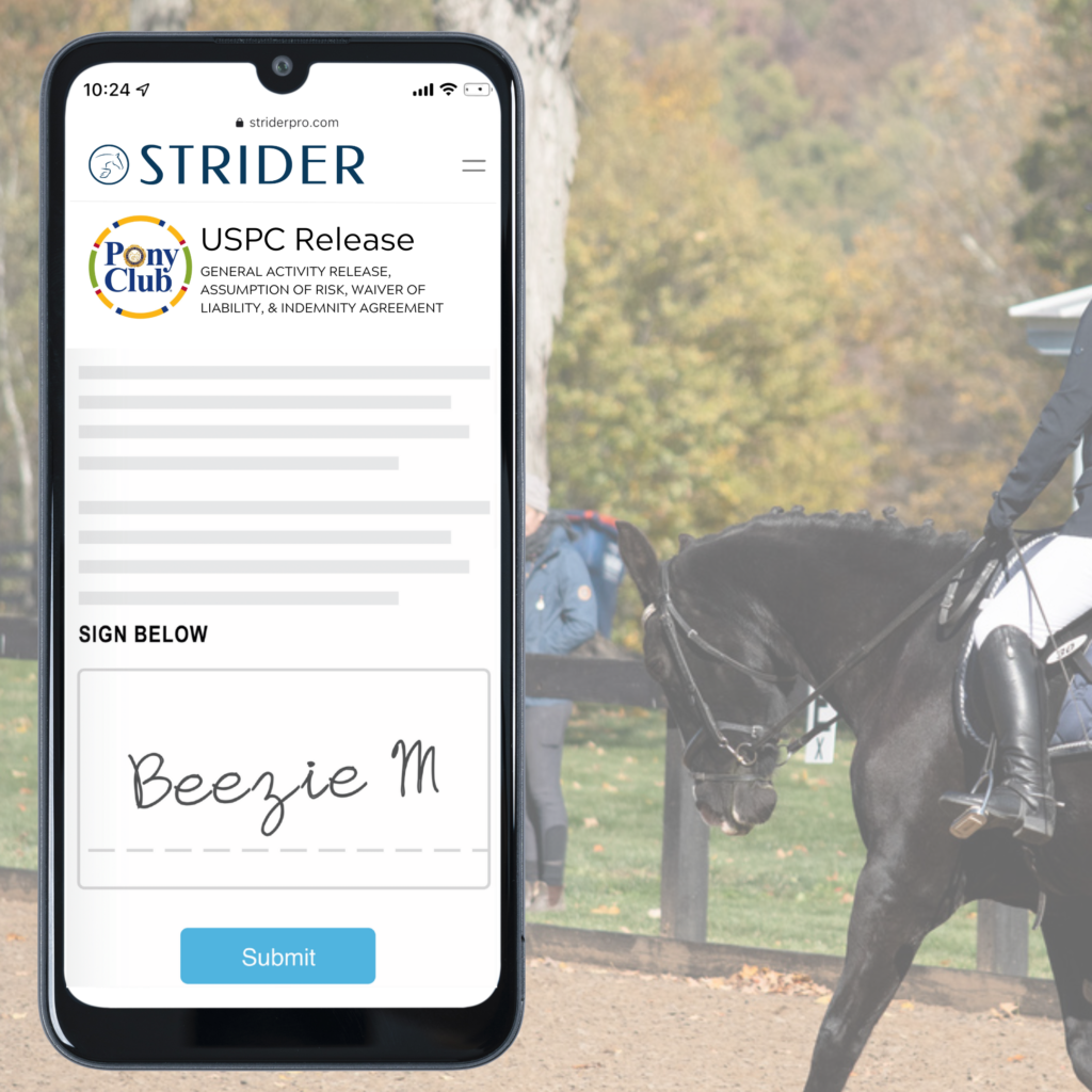 ImprovedStriderPayHERE (6) | STRIDER