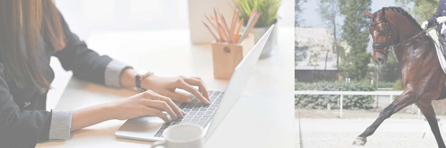 Sample Organizer Reports- The Strider Platform | STRIDER