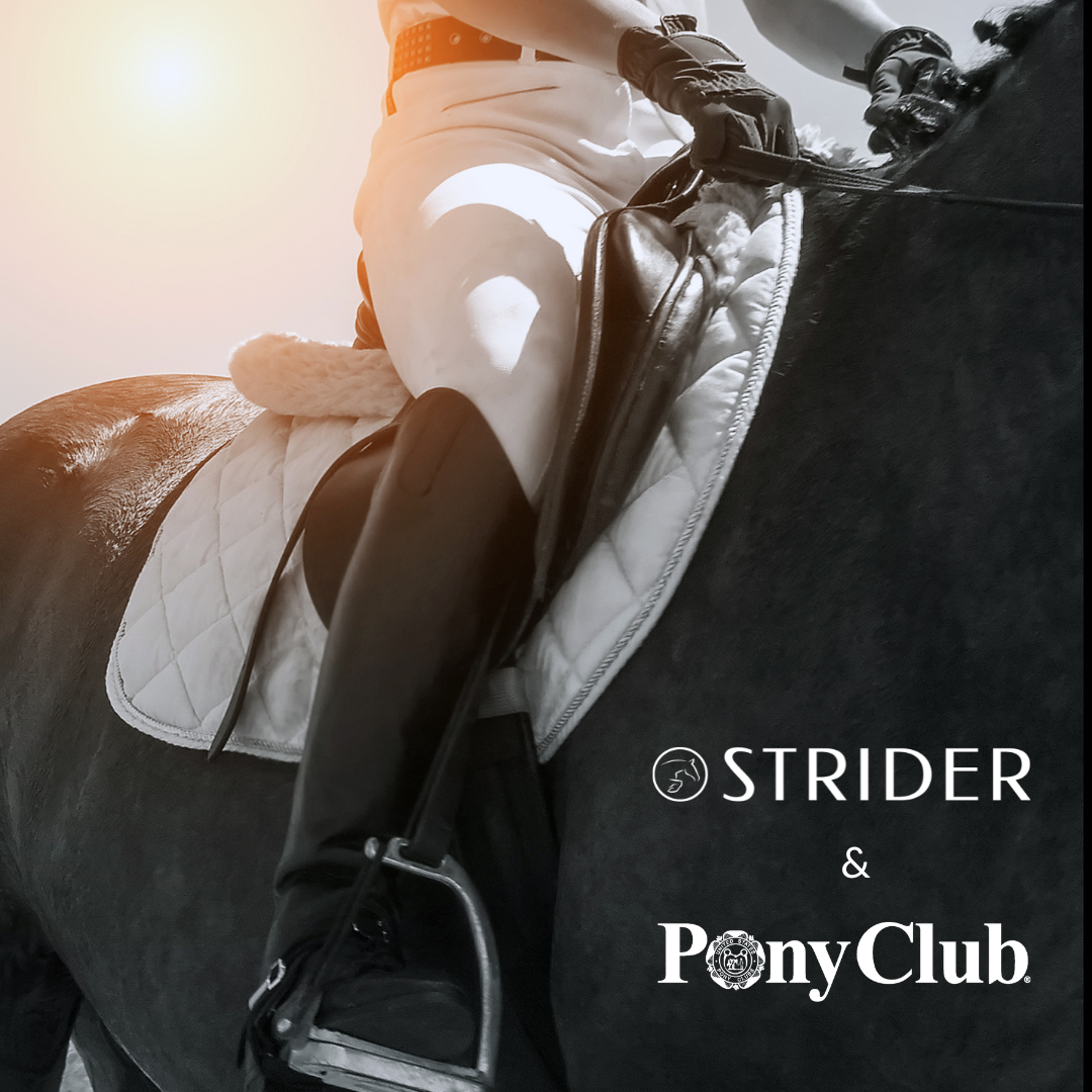 STRIDER Leadership Featured as Speakers at United States Pony Clubs ...