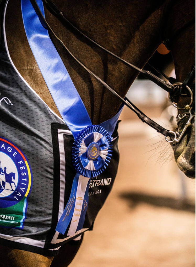 STRIDERPRO_HorseShow_Spotlight | STRIDER