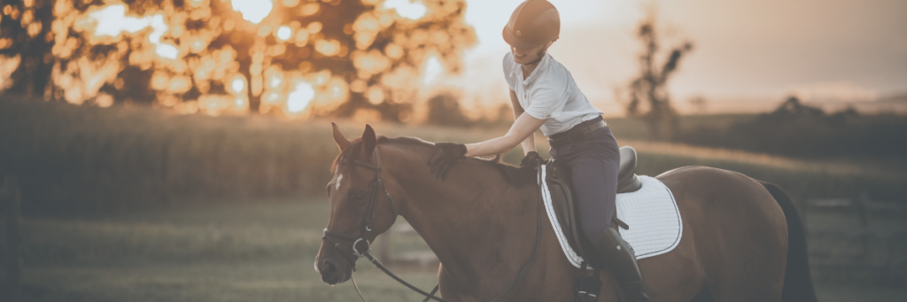 The Strider Organizer Guide | STRIDER