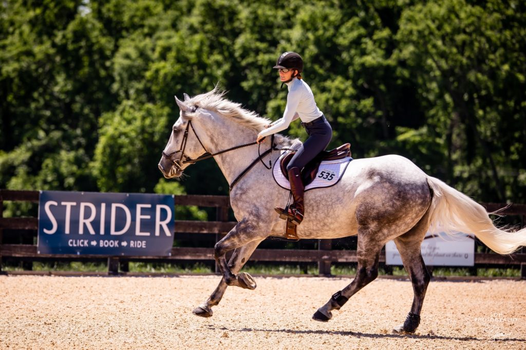 StriderGold - Top Visibility For Your Equestrian Activities