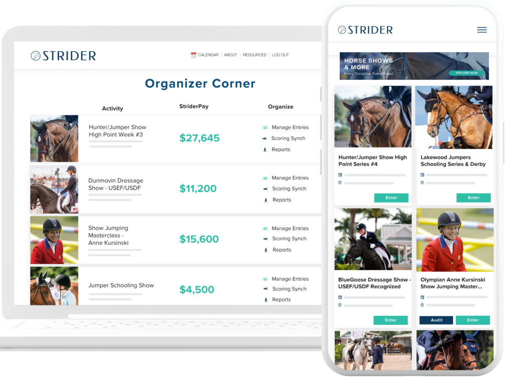 STRIDER_2024_PlaidHorse | STRIDER