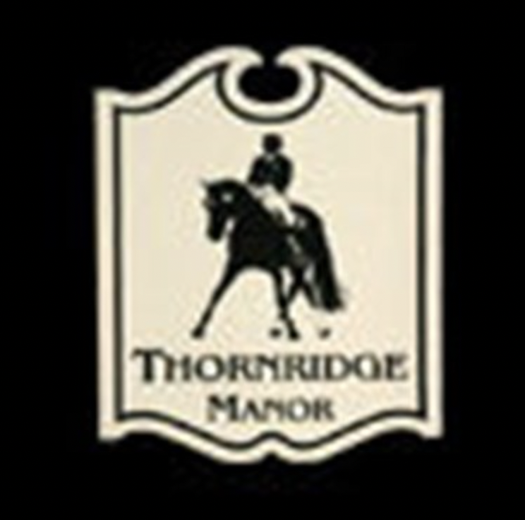 Top 10 on Strider | STRIDER