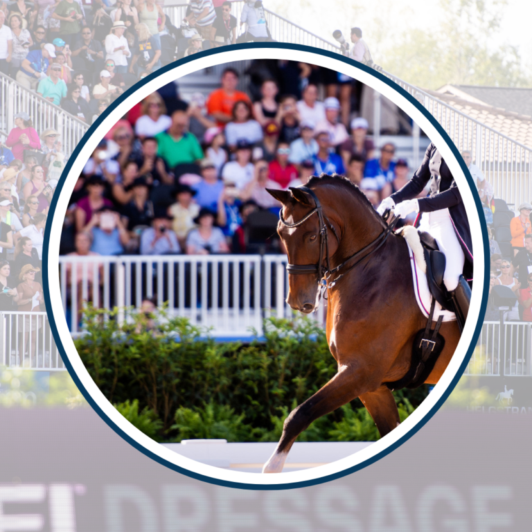 STRIDER and PayPal Collaborate to Expand Digital Payments Across Equestrian Sport