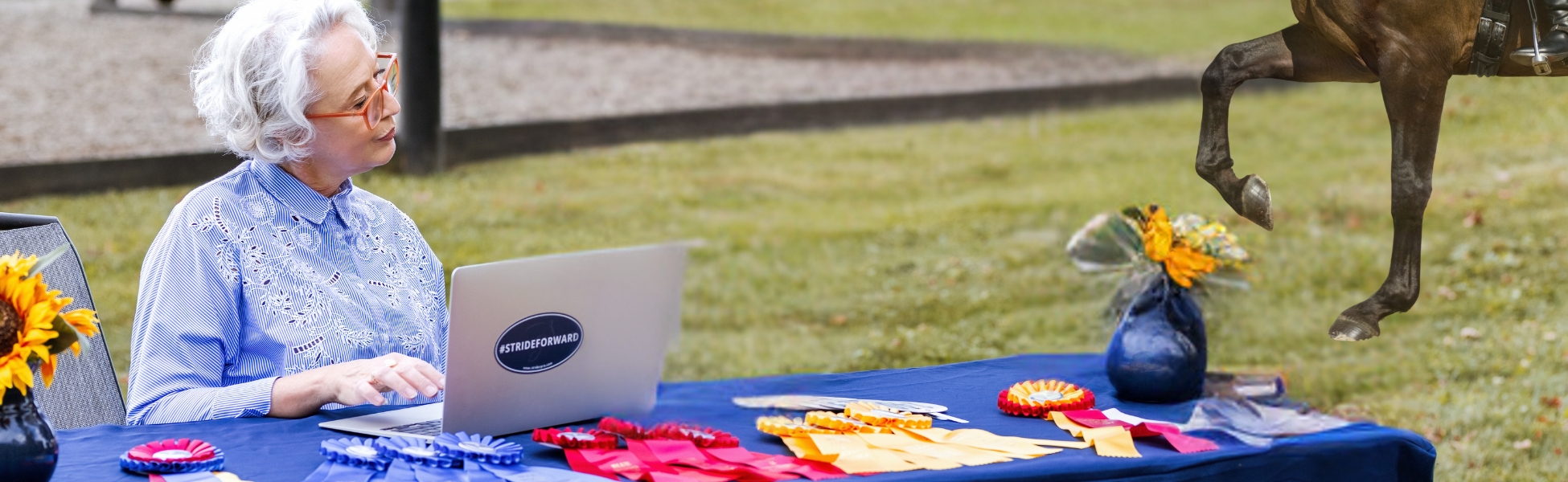 StriderPlus Email Banners | STRIDER