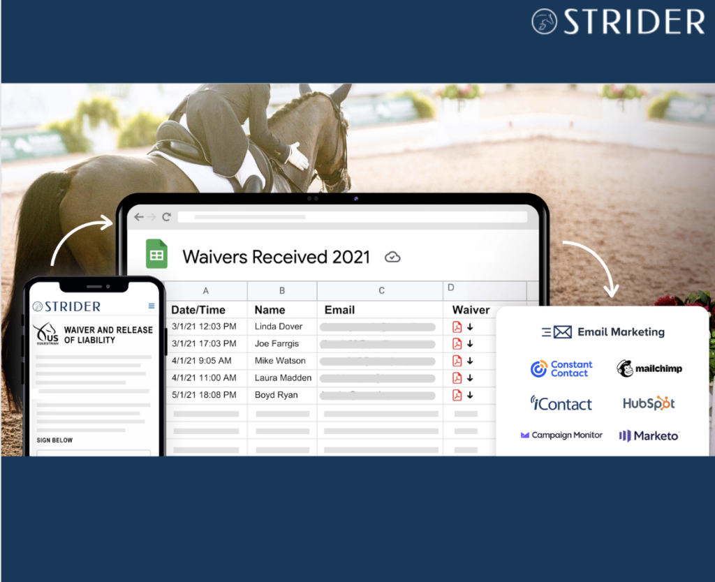 StriderPlus_SpreadSheet | STRIDER