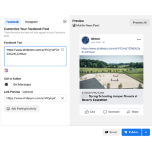 Untitled (Logo) | STRIDER